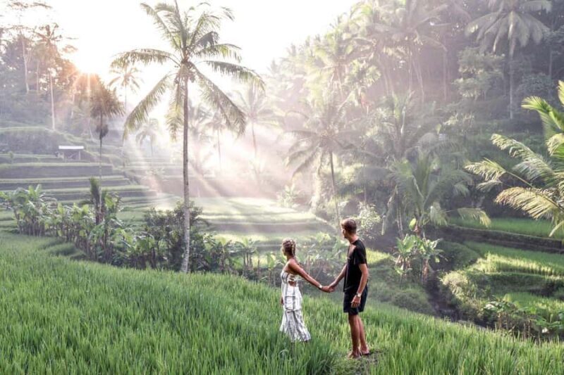 Ubud: Zip-line Adventure, River Rafting & Rice Terraces Tour - Key Points