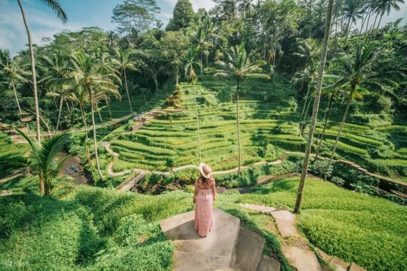 Ubud: Zip-Line, Sacred Temple, and Monkey Forest Tour - A Full Breakdown of the Tour Experience