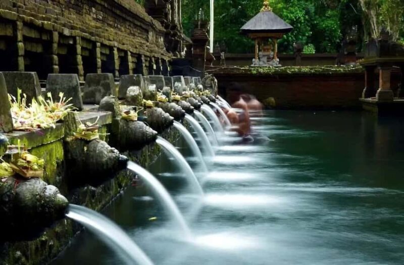 Ubud: Zip-Line, Sacred Temple, and Monkey Forest Tour - How About the Cost-Value Relationship?