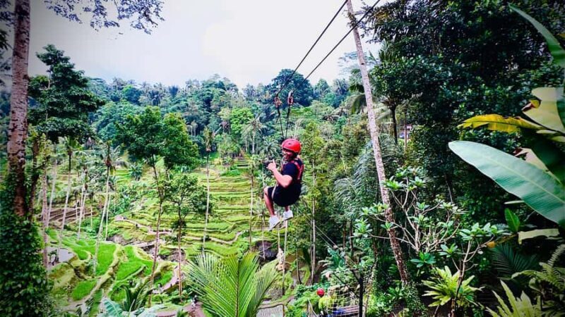 Ubud: Zip-Line, Sacred Temple, and Monkey Forest Tour - What Travelers Are Saying
