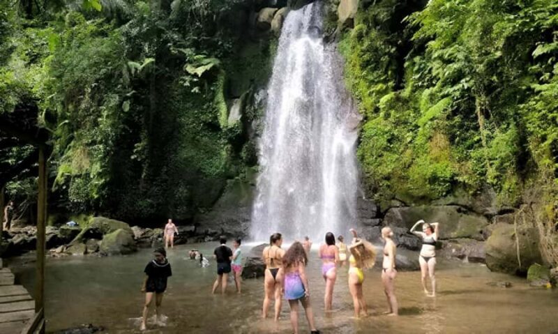 Ubud: Zipline, Waterfall & Tirta Empul Holy Temple Day Tour - Who Is This Tour Best For?