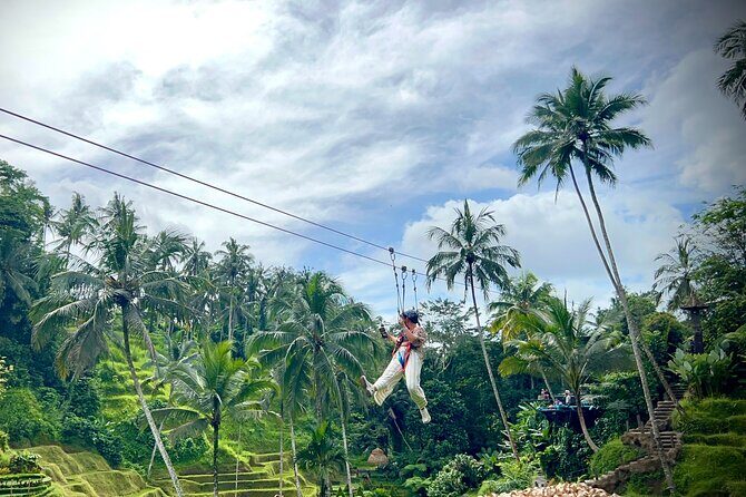 Ubud Zipline,Alas Harum combo experience with Private Car, Bali - Who Will Love This Tour?