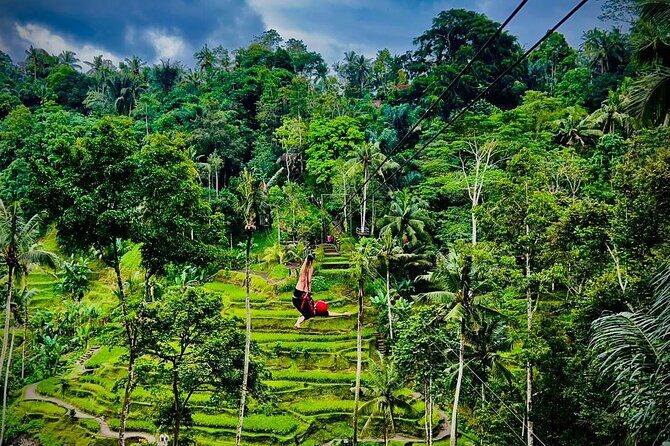 Ubud Zipline,Alas Harum combo experience with Private Car, Bali - Key Points