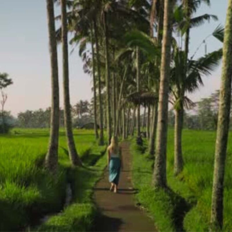 Ubud:Cultural day tour with traditional Balinese house visit - Key Points