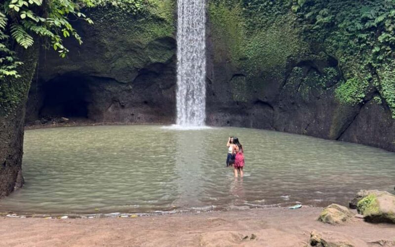 Ubud:private tour riceterace&swing waterfall& tirta empul - Key Points