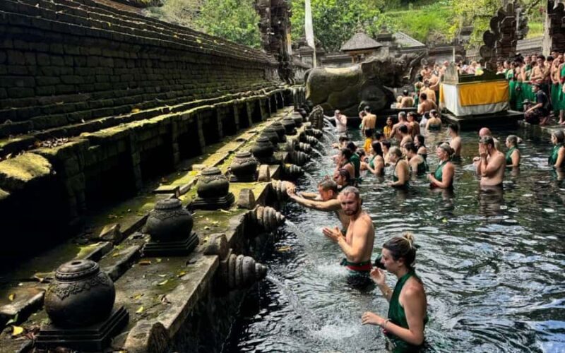 Ubud:private tour riceterace&swing waterfall& tirta empul - Authentic Experiences and Authentic Insights
