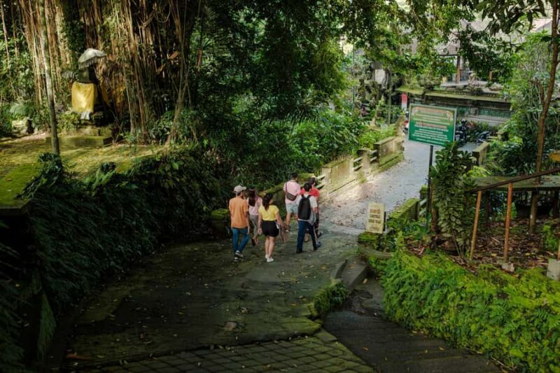 Ubud's Journey from Past to Present - What to Expect and Practical Details