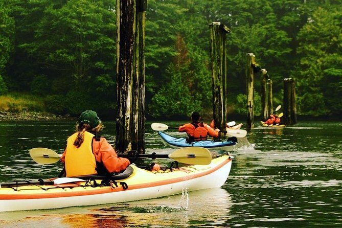 Ucluelet Harbour Tour - An Honest Look at the Ucluelet Harbour Kayaking Experience