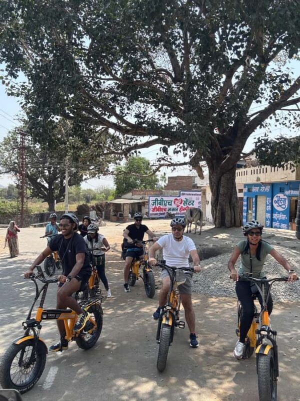 Udaipur: E-Cycling through lakes and villages - The Sum Up
