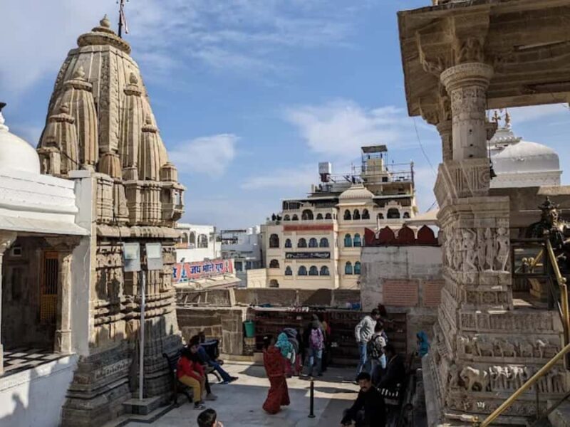 Udaipur: Jagdish Temple Guided Tour - Who Should Consider This Tour?