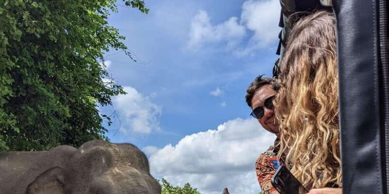 Udawalawa National Park - 4*4 Private Safari Jeep Tour - Discovering Udawalawa National Park: a Wildlife Wonderland