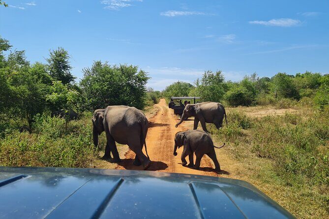 Udawalawa National Park All Inclusive Safari Tour from Hambantota - FAQ