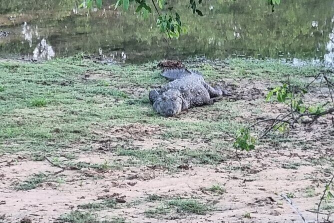 Udawalawa National Park Day Tour - Frequently Asked Questions