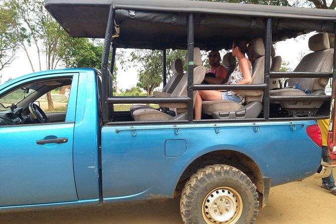 Udawalawa National Park half day Safari - Introduction: Why Choose a Half-Day Safari in Udawalawe?