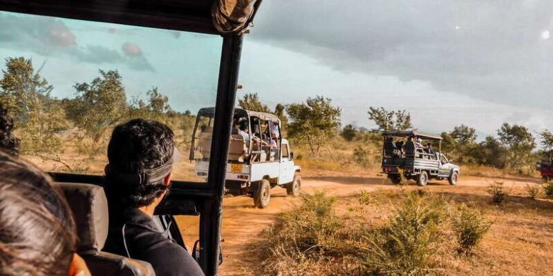 Udawalawa National Park: Private Safari - The Experience in Detail