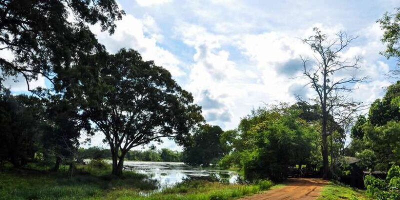 Udawalawa National Park: Private Safari - FAQ