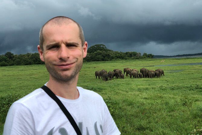 Udawalawa National Park Safari Day Tour - Transportation and Timing