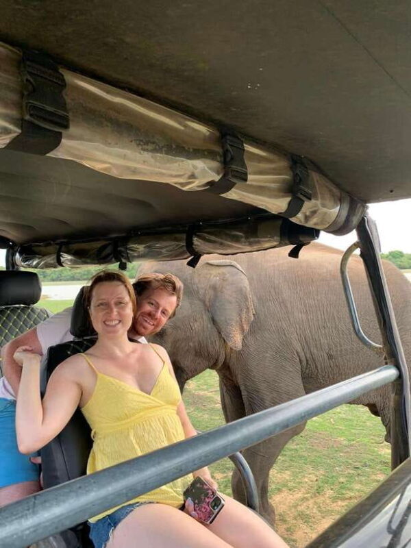 Udawalawa National Park Safari & Elephant Transit Home Tour - The Safari Experience: What Youll Really See