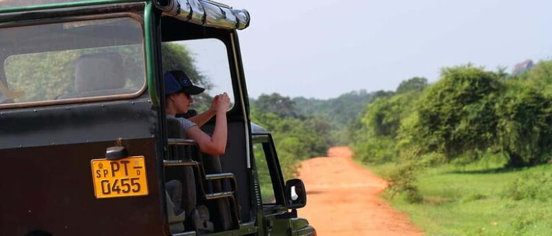 Udawalawa: Udawalawa National Park Safari Tour - The Experience: Highlights From Traveler Reviews