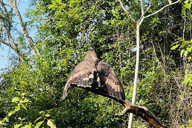 Udawalawa Wild Life Safari - FAQ about Udawalawa Wild Life Safari