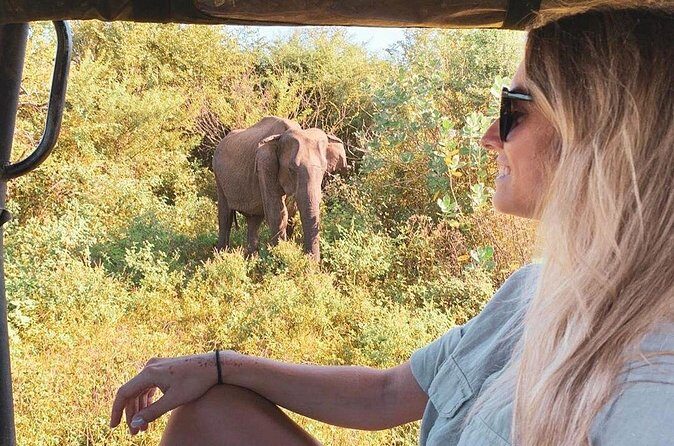 Udawalawe Day Trip from Kalutara - The Sum Up