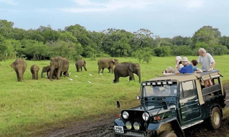 Udawalawe Elephant Safari & Transit Home visit All Inclusive - FAQ