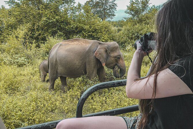 Udawalawe Half Day Safari (Entrance + Lunch) - Practical Tips for a Smooth Experience