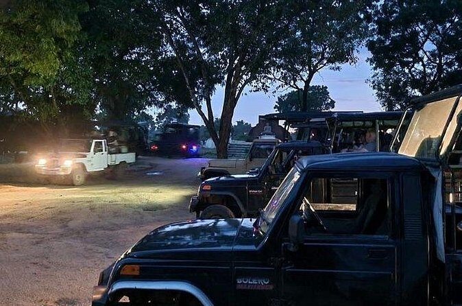 Udawalawe Jeep Safari from Bentota Aluthgama Berawula Area - Who Would Love This Tour?