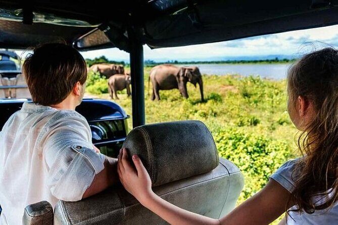 Udawalawe Jeep Safari from Bentota Aluthgama Berawula Area - A Deep Dive into the Experience