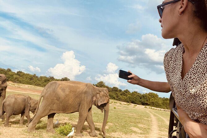 Udawalawe National Park 6-Hour Private Safari Tour - Who Is This Tour Best For?