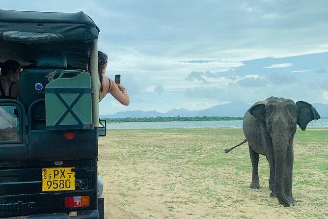 Udawalawe National Park Day trip - Who Should Consider This Tour?