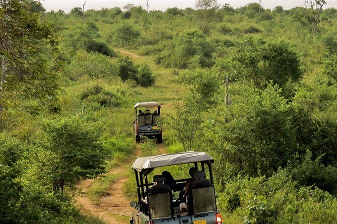 Udawalawe National Park Entrance Ticket with Private Safari - Practical Details: Price, Duration, and Booking