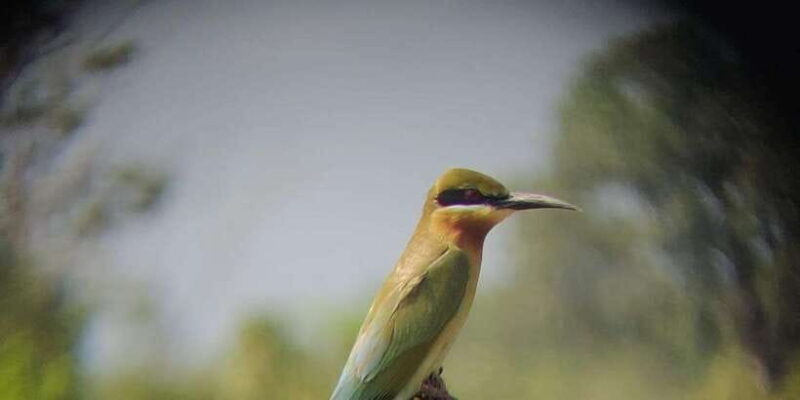 Udawalawe National Park | Full day-10 Hours | All Inclusive - The Price & Value Proposition