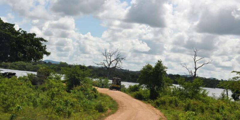 Udawalawe National Park Private Full-Day Safari - Why This Tour Offers Value