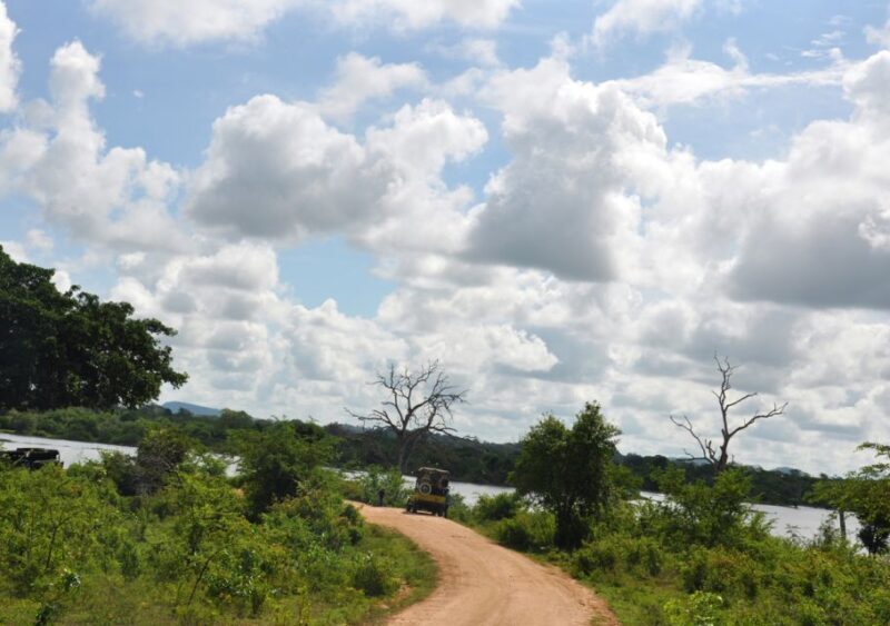 Udawalawe National Park Private Full-Day Safari - Who Should Consider This Safari?