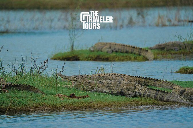 Udawalawe National Park Private Jeep Tour Safari Experience - The Sum Up: The Best Choice for Authentic Wildlife Experiences