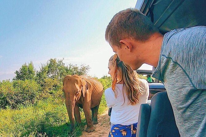 Udawalawe National Park Private Safari - Introduction: Who Should Consider This Safari?