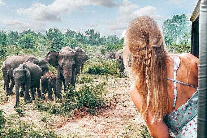 Udawalawe National Park Private Safari - Authenticity and Review Insights