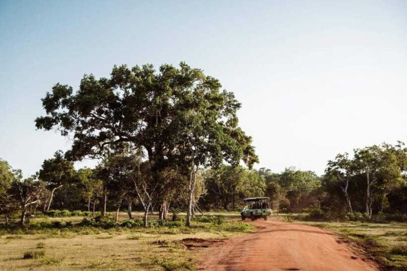 Udawalawe National Park: Private Safari From Colombo - Comparing Similar Experiences