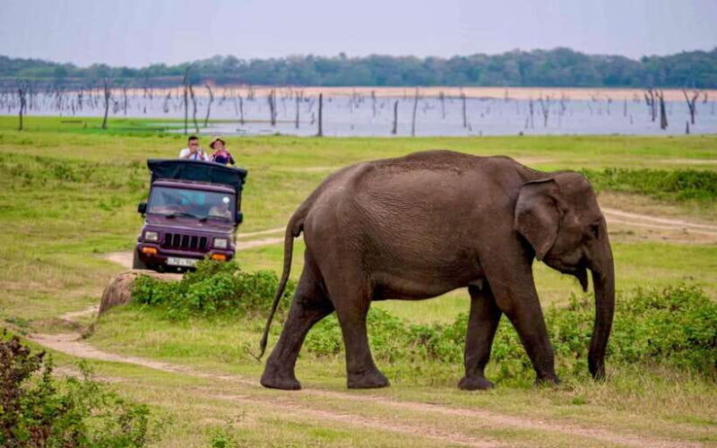 Udawalawe National Park: Private Safari From Colombo - FAQ