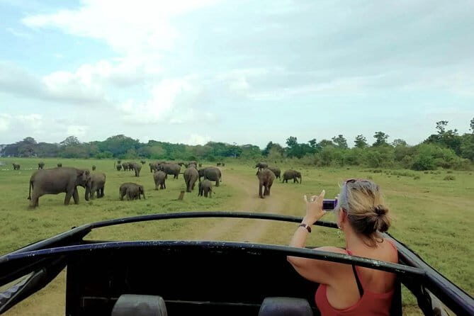 Udawalawe National Park Private Safari Tour - An In-Depth Look at the Udawalawe Safari Experience