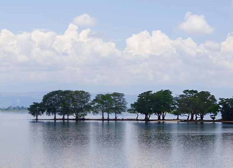 Udawalawe National Park Safari Eco Jeep Adventure - Key Points