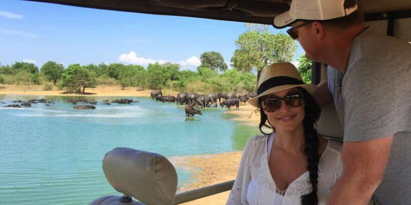 Udawalawe: National Park Safari & Elephant Transit Home Tour - Key Points