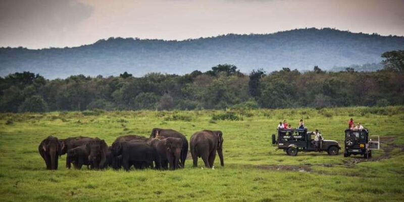 Udawalawe: National Park Safari & Elephant Transit Home Tour - FAQ