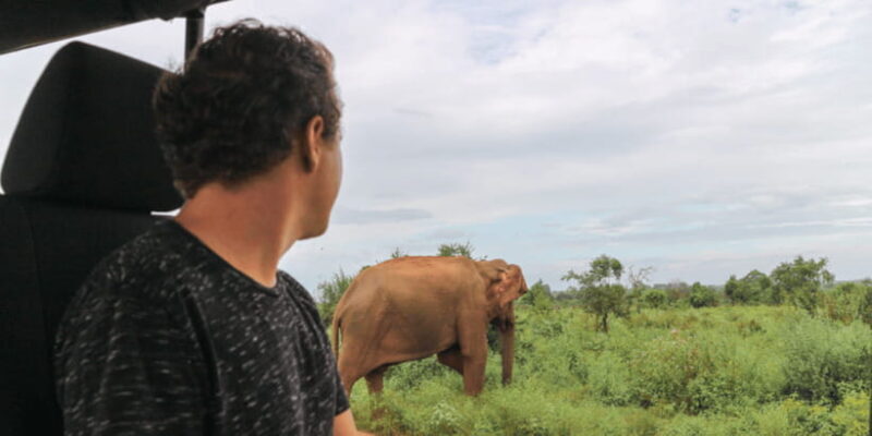 Udawalawe National Park Safari & Elephant Transit Home Visit - An Authentic Taste of Sri Lanka’s Wilderness