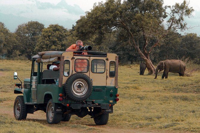 Udawalawe National Park Safari from Mirissa - Transportation & Comfort