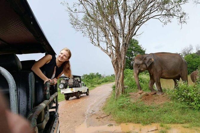 Udawalawe National Park Safari | From Mirissa | Galle | Weligama - Final Thoughts
