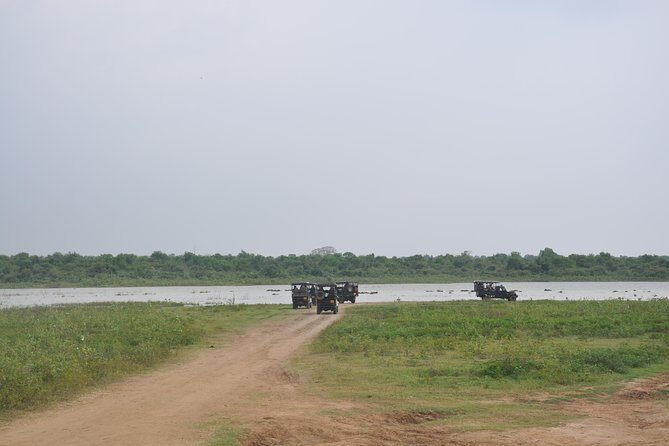 Udawalawe National Park Safari from Yala - Authenticity and Authentic Encounters