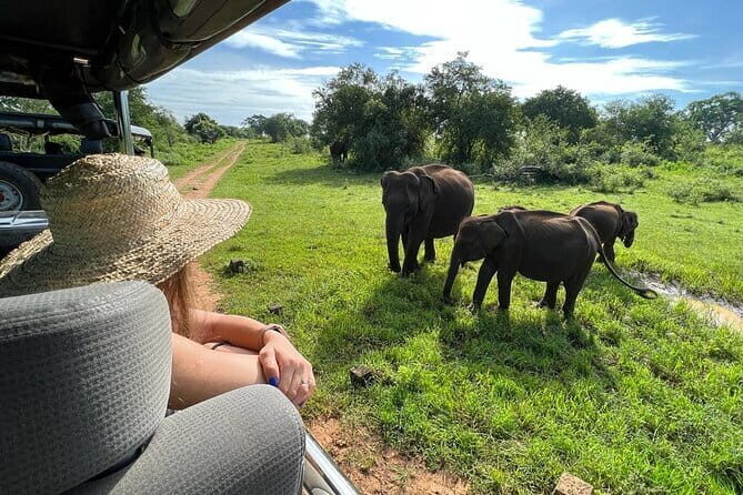 Udawalawe National Park Safari Tour - Key Points