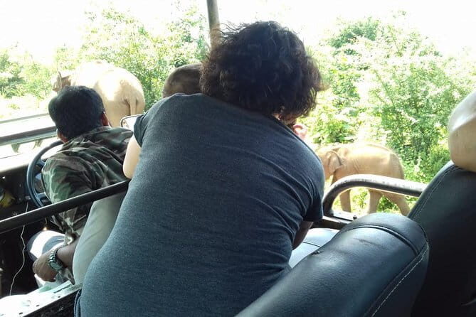 Udawalawe National Park Safari Trip from Ella - The Value and Practical Considerations